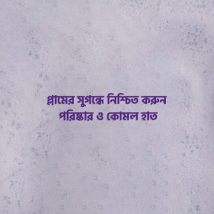 Purifying Plum Hand Wash - LUVIT Bangladesh