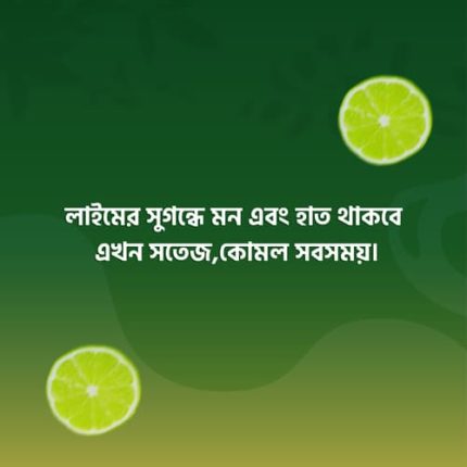 Purifying Lime Hand Wash - LUVIT Bangladesh